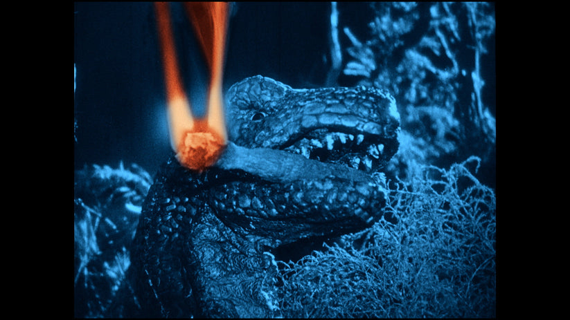 The Lost World (Deluxe Blu-ray Edition) – Flicker Alley